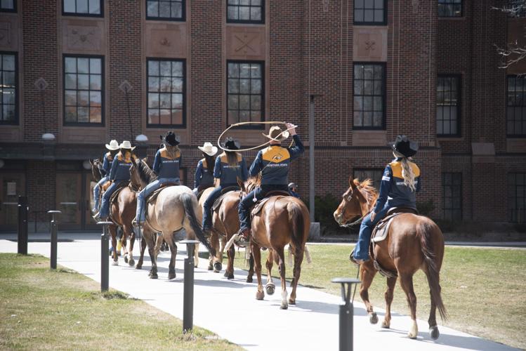 'One of the best': Bobcat Spring Rodeo kicks off this weekend ...