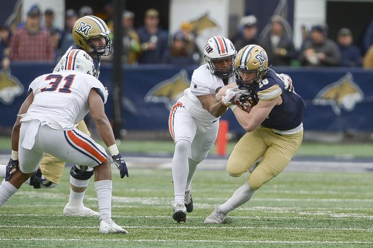 Four downs: Montana State gearing up to host South Dakota State in FCS ...