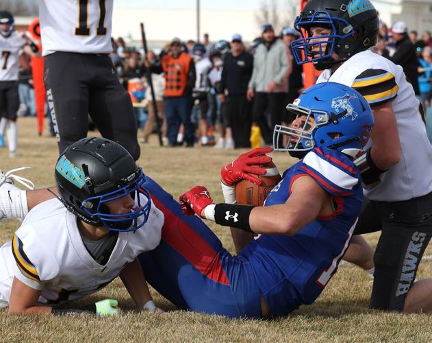 Montana State adds 20 high school standouts during early signing period ...