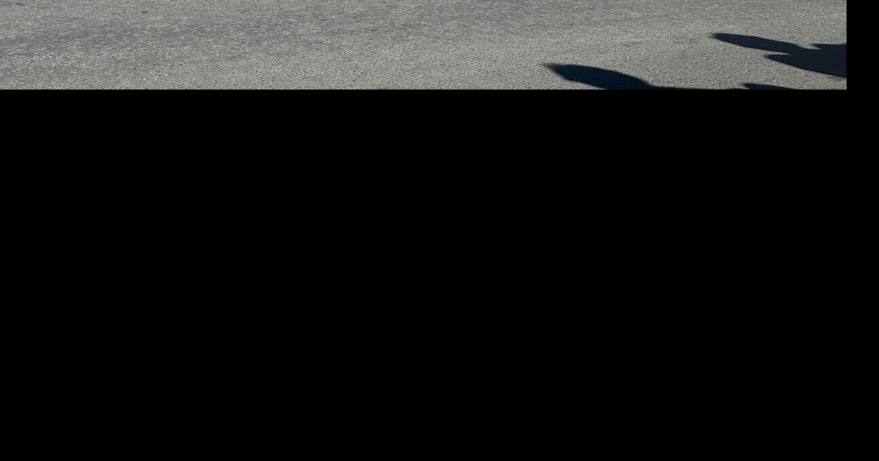 Joliet's Sankey Pro Rodeo selected as grand marshal for Pendleton Round ...