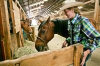 2013 State Rodeo Tournament | Sports | bozemandailychronicle.com