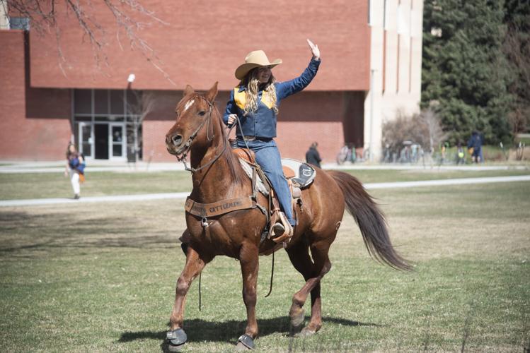 'One of the best': Bobcat Spring Rodeo kicks off this weekend ...