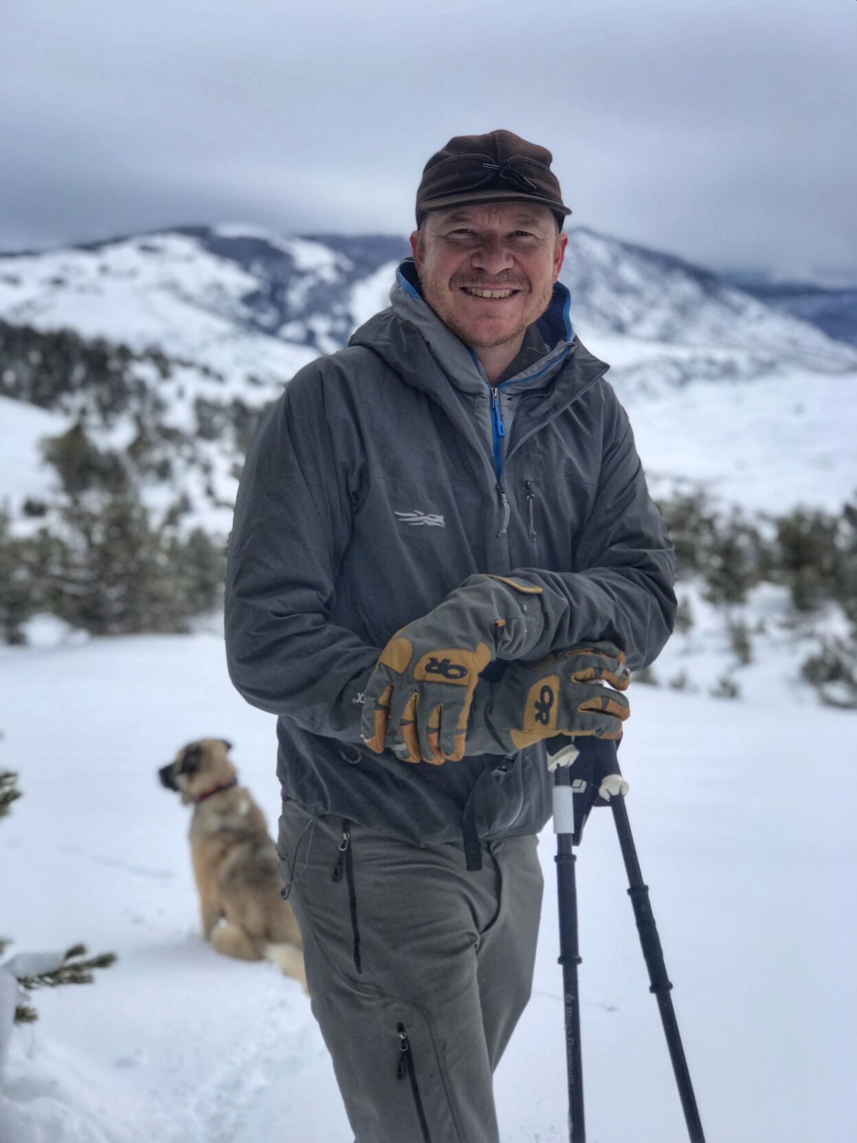 'Moving forward': New leader for Yellowstone Wolf Project talks ...