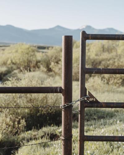 Trump supporter who fought with Forest Service could lead it | News ...