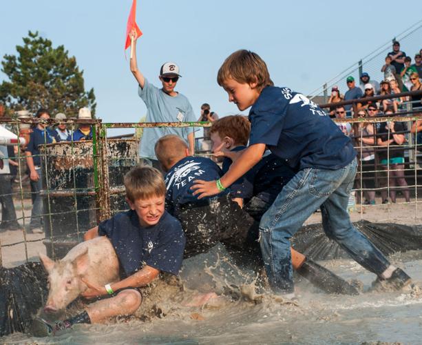 Pig Wrestling Gallatin County Fair | Featured | bozemandailychronicle.com