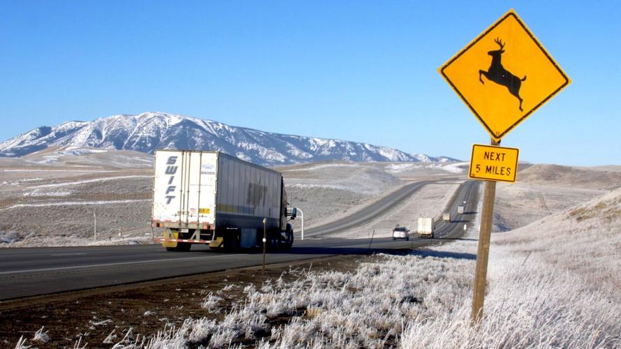 Yellowstone Safe Passages gets grant for wildlife project | State ...