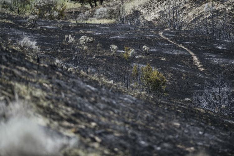 Wildfire continues burning west of Three Forks; size estimated at 350 ...