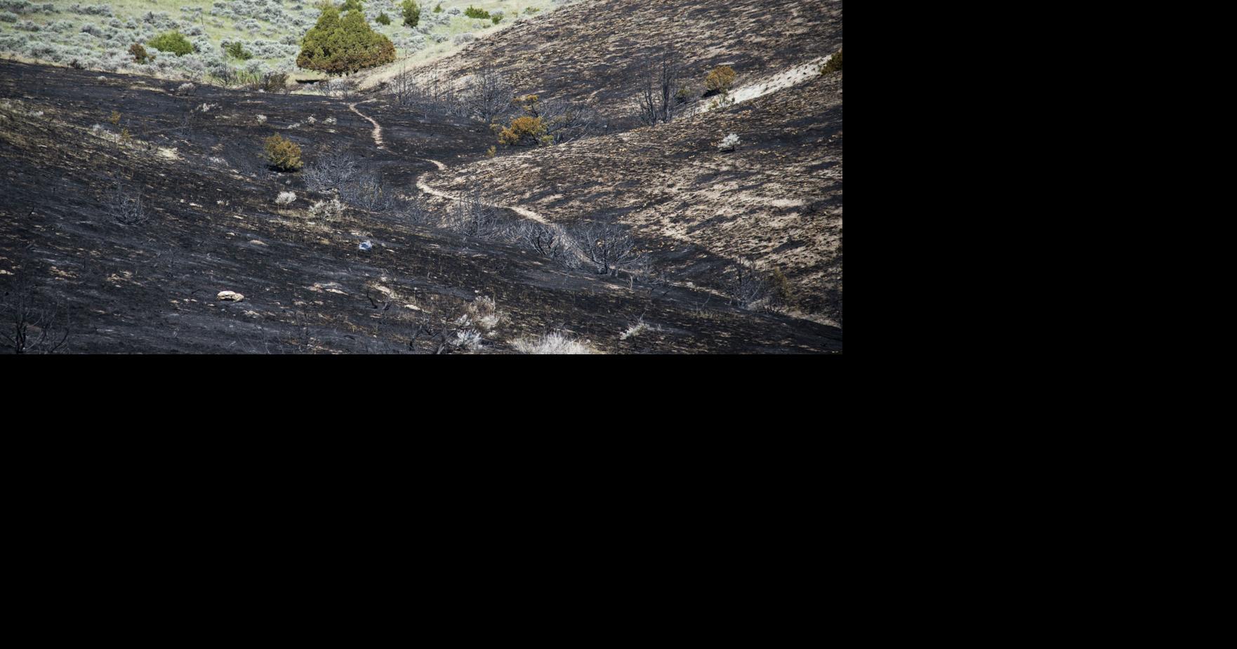 Willow Creek fire southwest of Three Forks now 95% contained ...