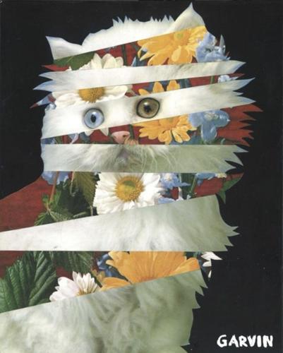 Artist spotlight: Jacob Garvin's cat collages | Bozeman ...