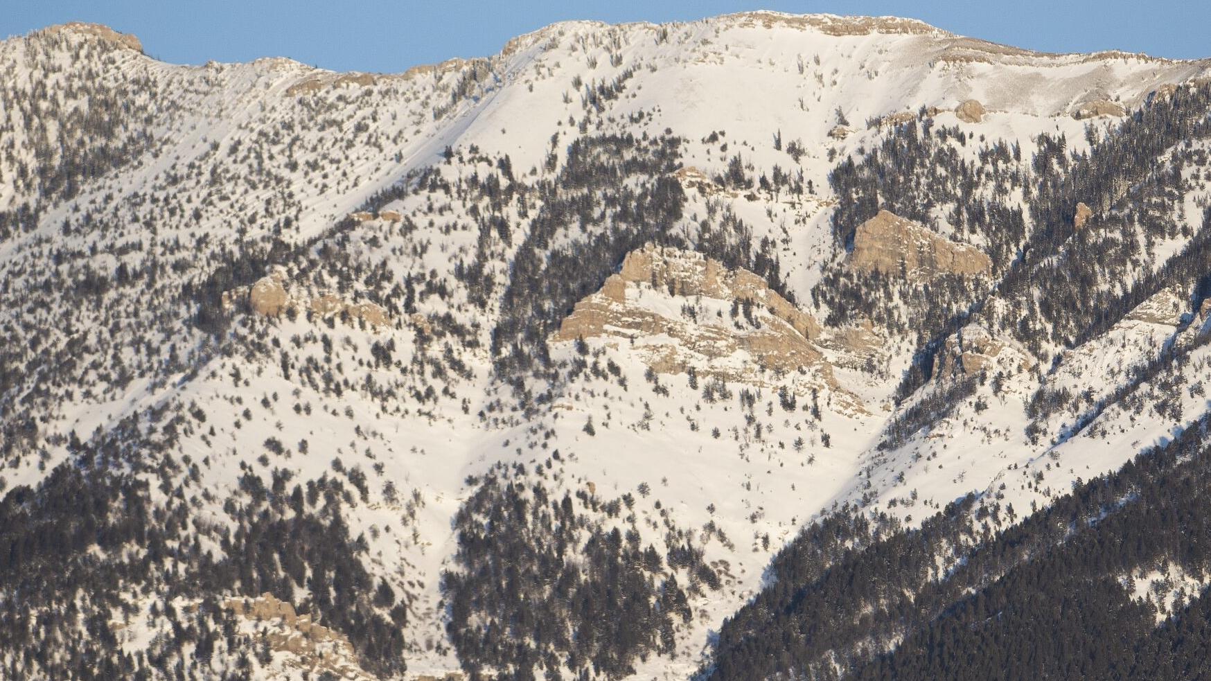 does it snow in cameroon