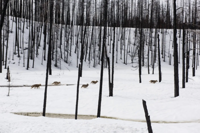 Matthew Barney’s Redoubt On View at Tinworks’ new downtown venue at the ...