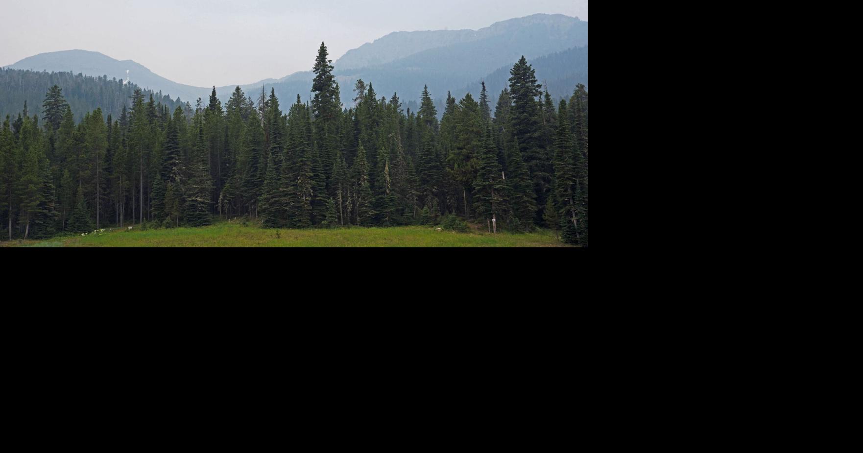 Persistent heat and wind intensify wildfire threat in southwest Montana ...