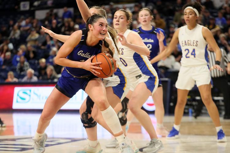 Gallatin girls basketball ready to defend state title, while Bozeman ...