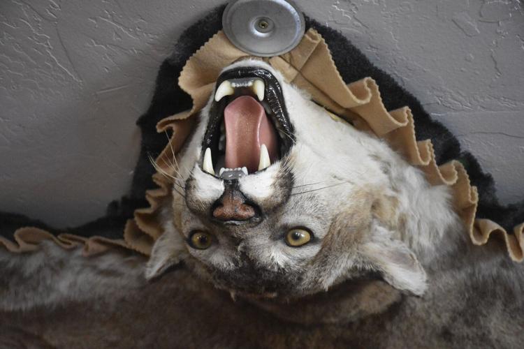 Wise River saloon adds on to better serve outdoors customers | News ...