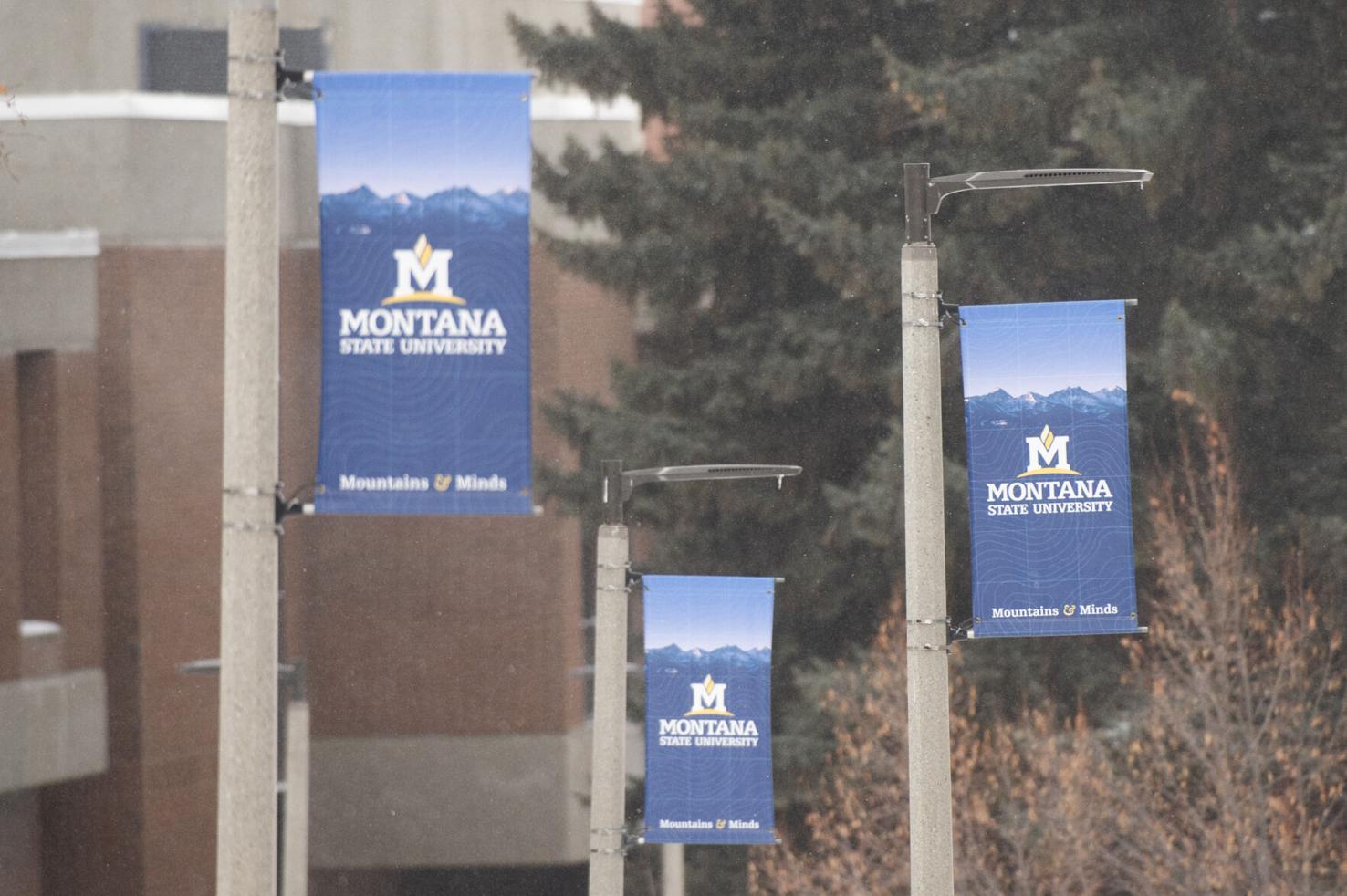 Montana State University opens Campus Civil Rights unit | Montana State ...