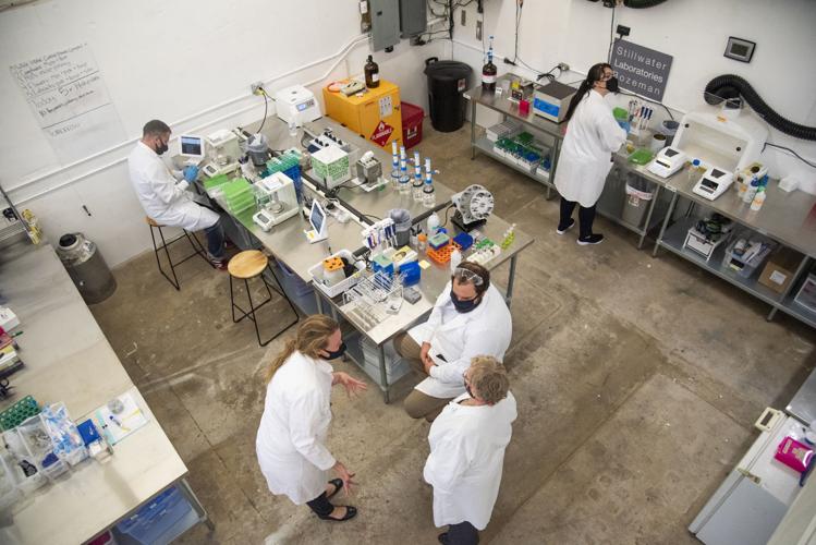 Bozeman's first cannabis testing lab opens | Business ...