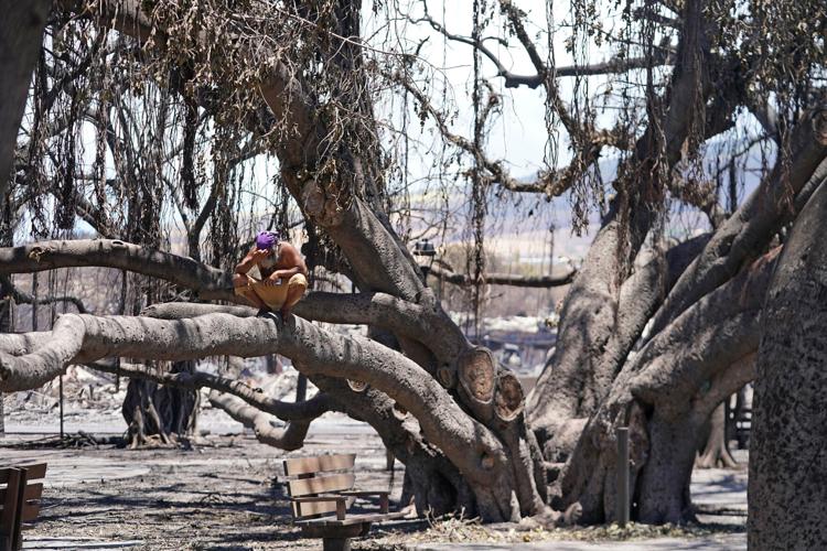 Extreme weather can whip up anxiety. A safety plan can help ...
