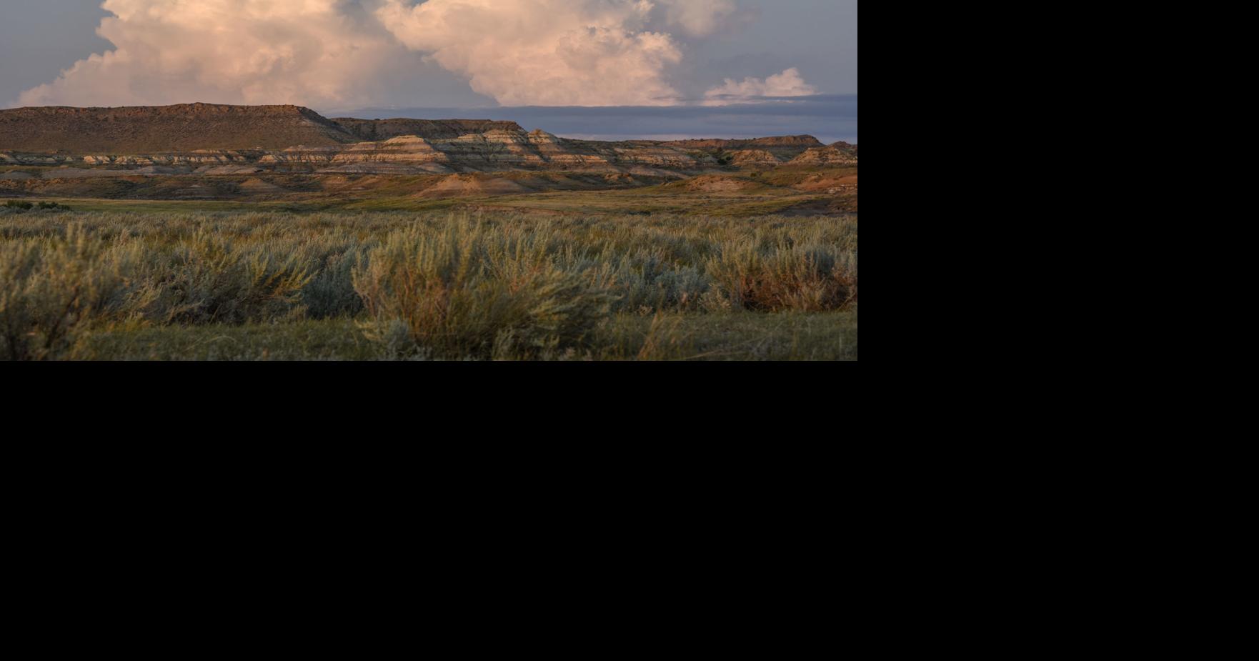 Warming climate alarms Montana scientists | Environment ...