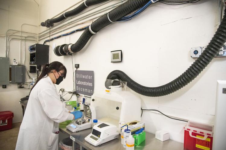 Bozeman's first cannabis testing lab opens | Business ...
