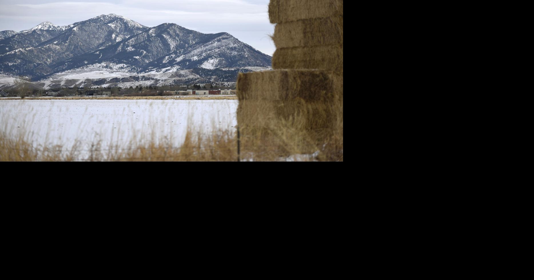As Bozeman's growth policy nears completion, environmental groups urge ...