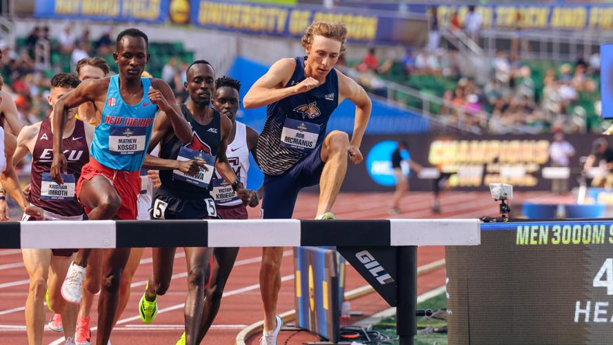 Montana State's Rob McManus advances to steeplechase final at NCAA ...