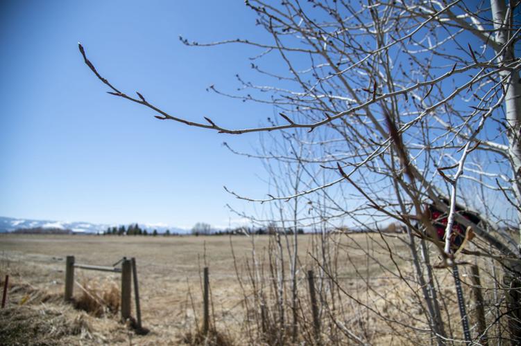 City commission advances controversial development in south Bozeman ...