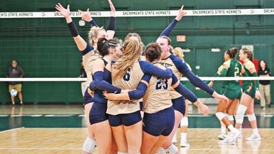 Montana State volleyball defeats Sacramento State to advance in NIVC ...