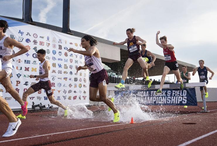 Hamilton advances to steeplechase final, Taylor and McManus named ...