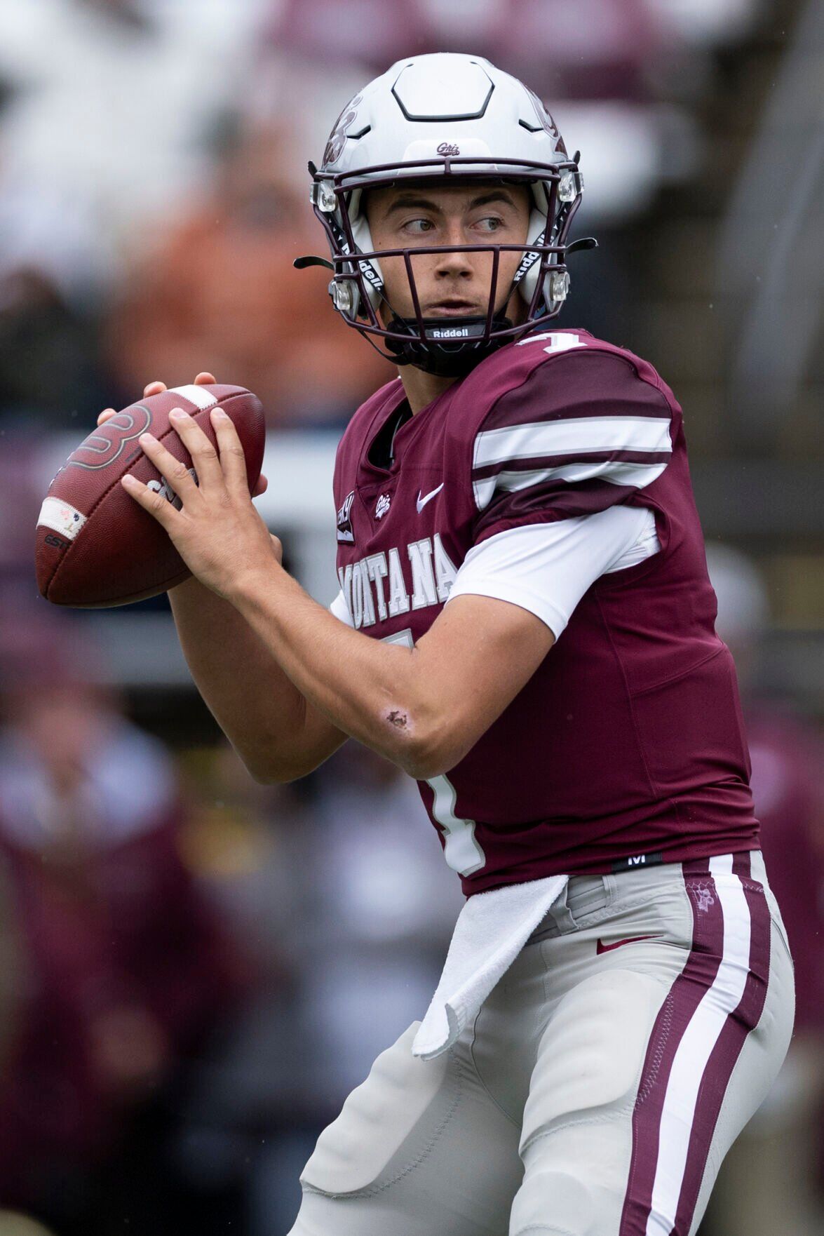 Montana State Bobcats host SFA Lumberjacks in quarterfinals | Bobcats ...