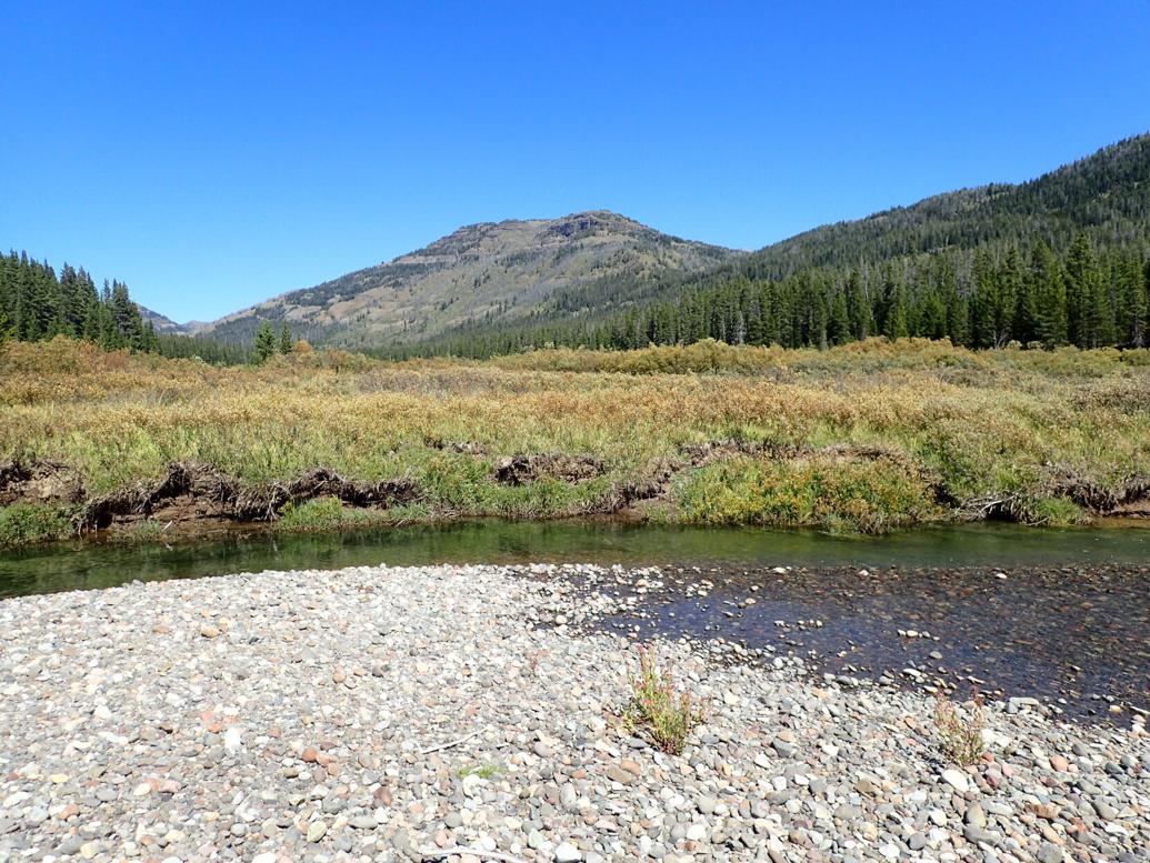 Wilderness Watch sues Forest Service over Buffalo Creek trout poison ...