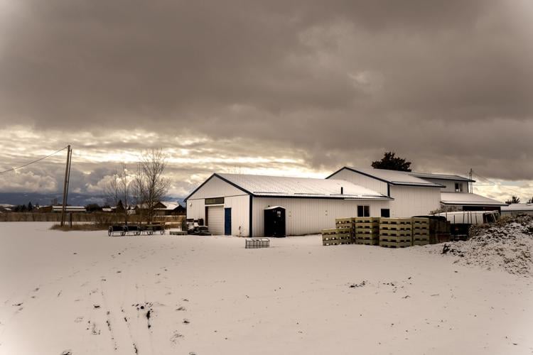 Land loss and encroachment: Can producers afford to keep farming in the ...