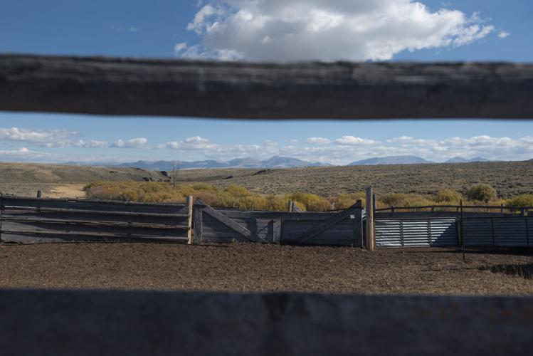 ‘Lost art’: Southwest Montana ranchers hold on to sheep grazing ...