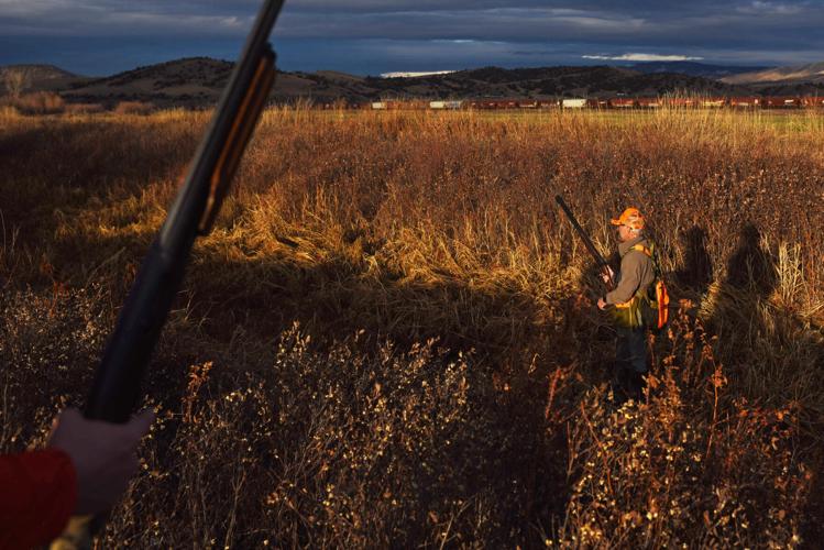Hunting down a story: The scoop on the evolution — and looming sale ...