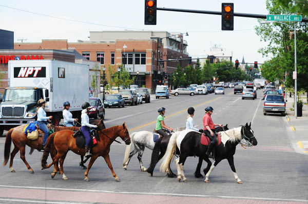 Gallatin County Fair 2010 | News | bozemandailychronicle.com