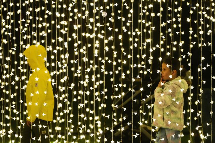 Golden Gate Park's dazzling holiday light display brings joy to the ...