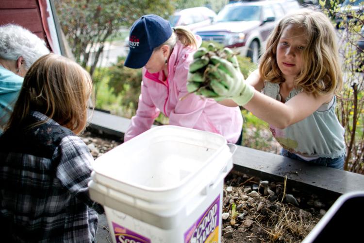 YMCA wants input from community | City | bozemandailychronicle.com