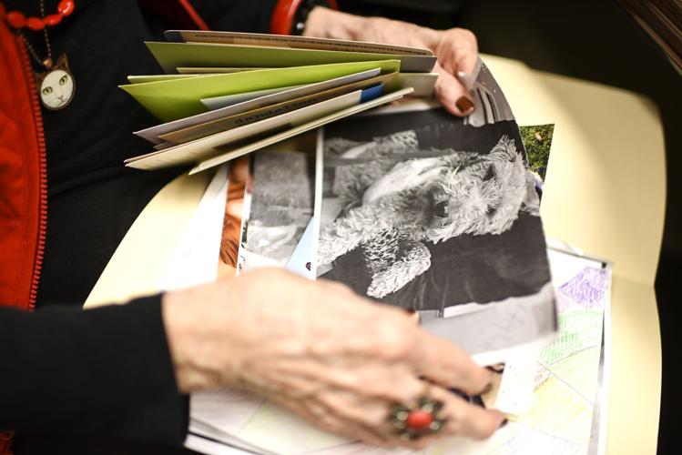 Phyllis Conner: Crazy for cats and dogs | Everyday People ...