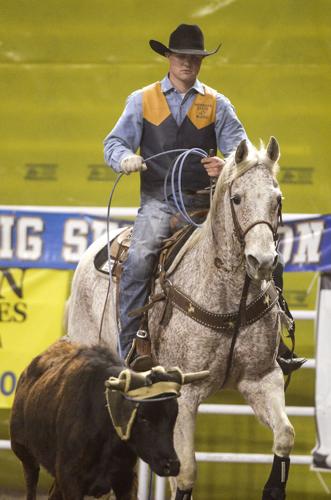Montana State's Caleb Berquist returns to College National Finals Rodeo ...