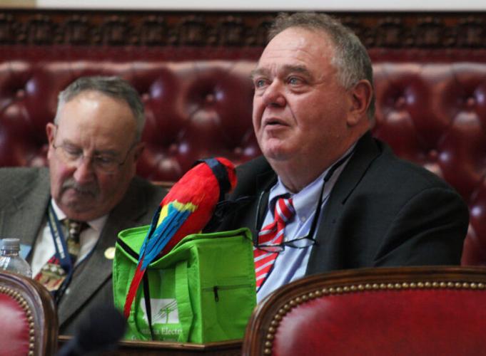 'Discipline and ... transparent': Montana House approves $16.6 billion state budget | News ...