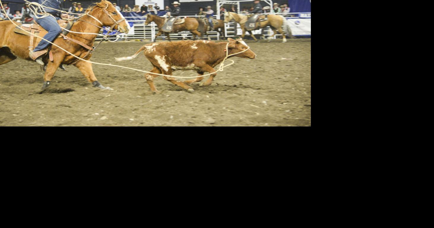 Montana State's Rylee Anderson and Wyatt Jensen rely on strong horse ...