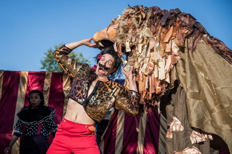 'Dreamy and mythological': String and Shadow performance takes giant ...