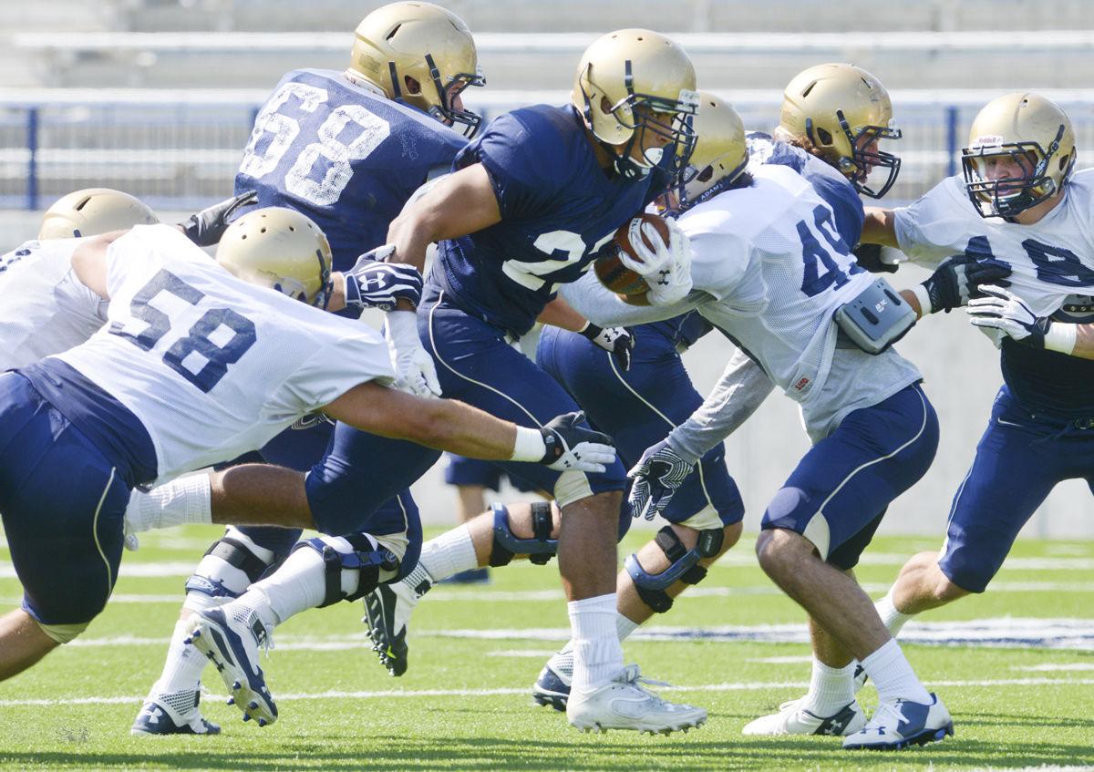 MSU Football Scrimmage | Sports | bozemandailychronicle.com