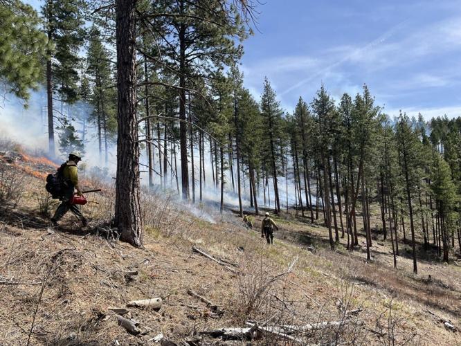 wildfire customer service