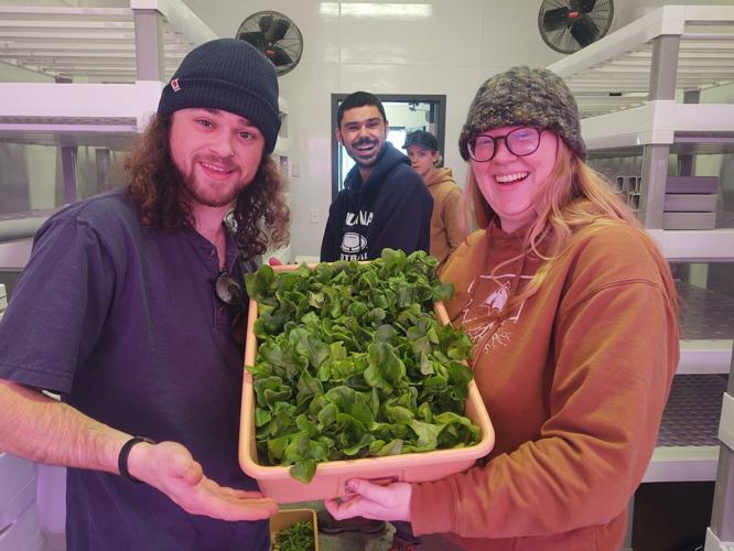 MSU brings hydroponics, food education to rural Montana | Agriculture ...
