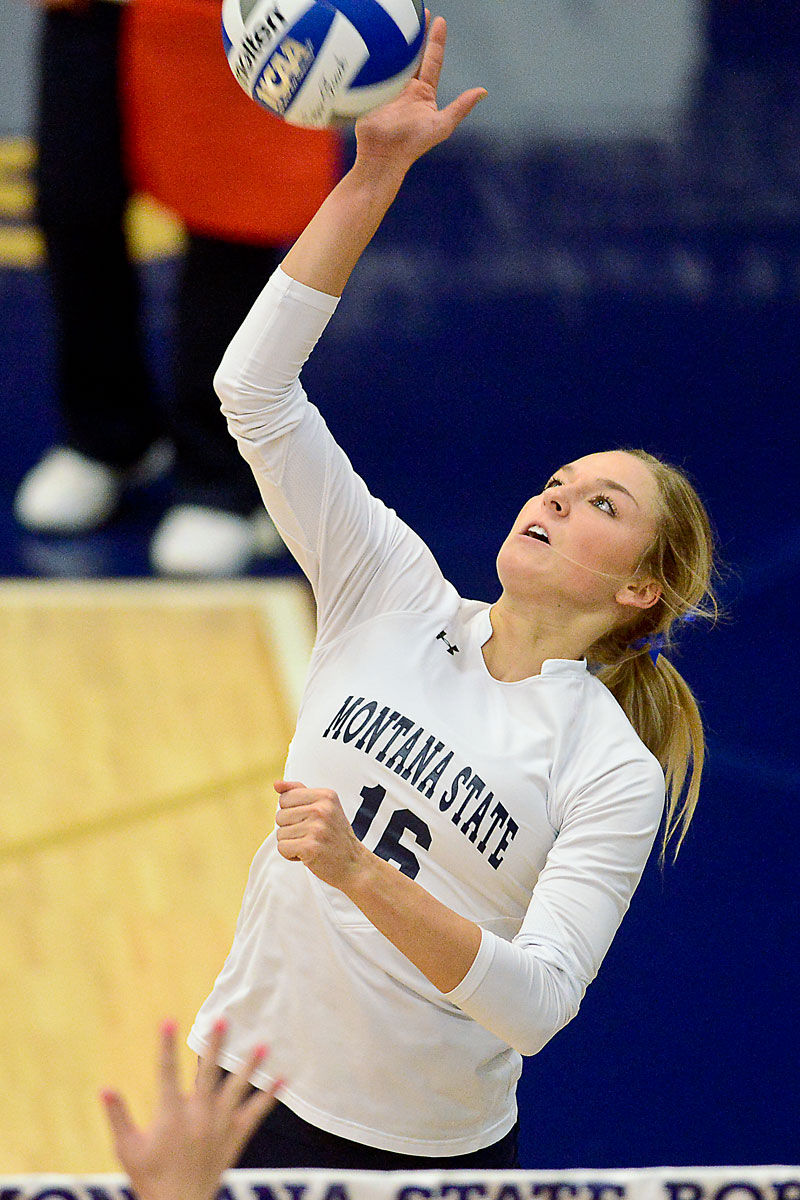 Volleyball: MSU vs. Montana | Sports | bozemandailychronicle.com