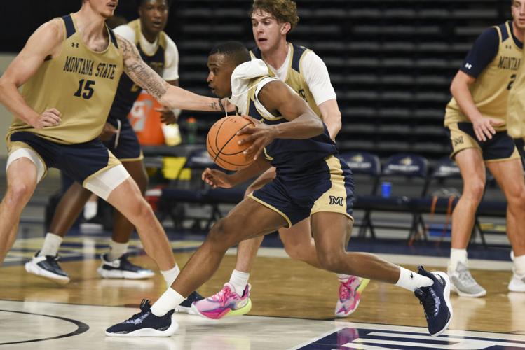 With new coach Matt Logie and 10 newcomers, Montana State men's ...
