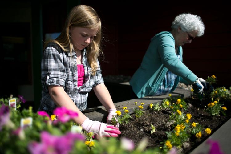 YMCA wants input from community | City | bozemandailychronicle.com