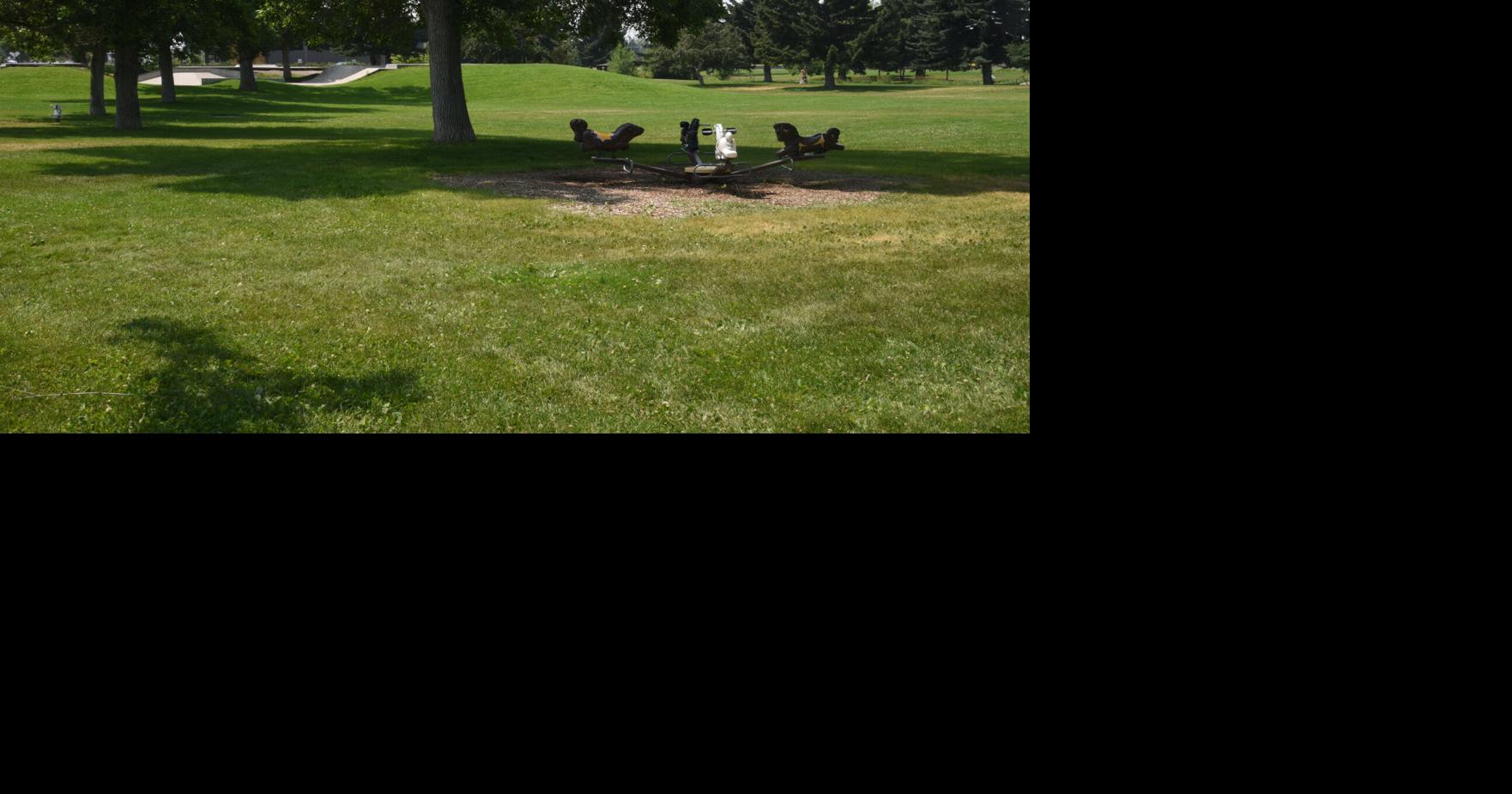 Juvenile injured in Kirk Park stabbing returns home as GoFundMe ...