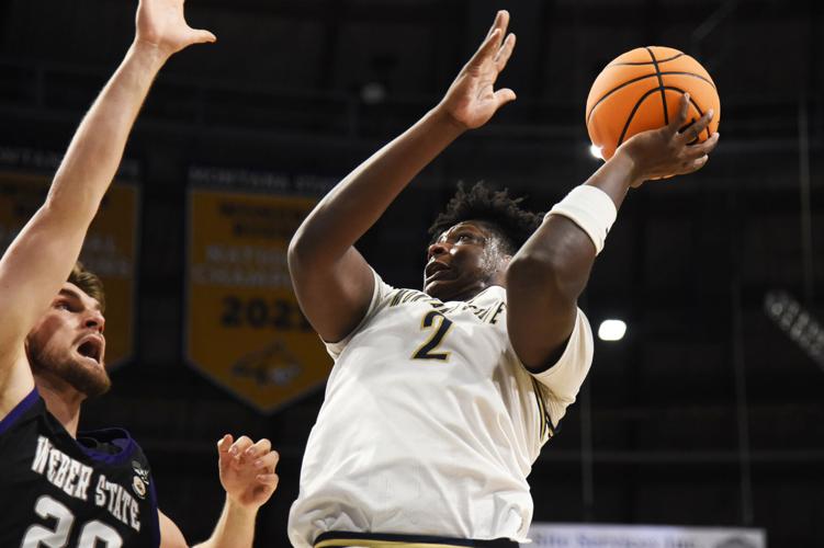 Montana State forward Brandon Walker enters transfer portal | Bobcats ...