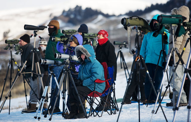 Day in the life of Doug Smith, Yellowstone wolf biologist | Special ...